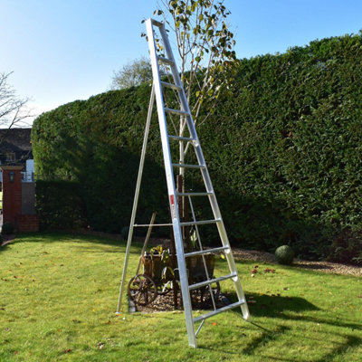 10 Step Home Master Fixed Tripod Gardening Ladder | DIY at B&Q
