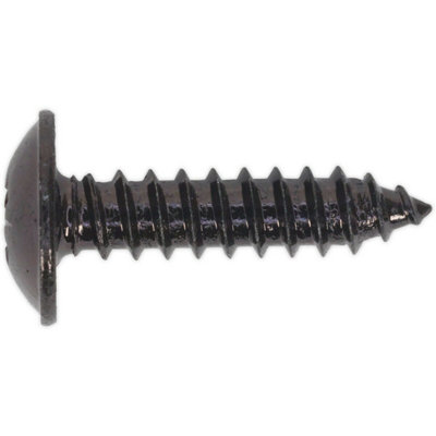 100 PACK 4.8 x 19mm Self Tapping Black Screw - Flanged Pozi Head ...