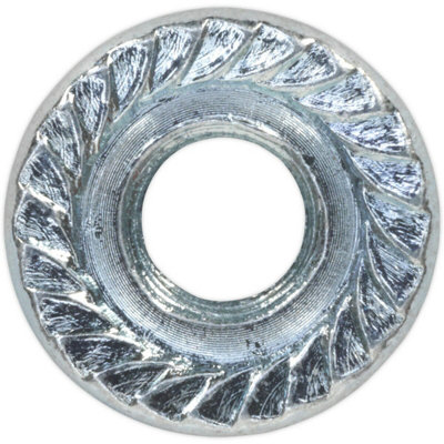 100 Pack of Zinc Plated M6 Serrated Flange Nuts - 1mm Pitch - DIN 6923 ...