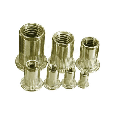 100 x Assorted Serrated Threaded Nutserts, M3, M4, M5 & M6 Nut Rivet ...