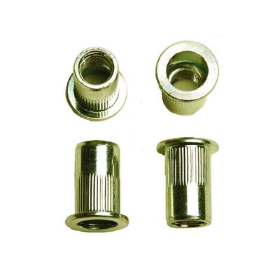 100 x Assorted Serrated Threaded Nutserts, M3, M4, M5 & M6 Nut Rivet ...