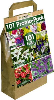 101 Mixed Summer Flowering Bulbs 101 Bulbs in 5 Varieties Bee ...