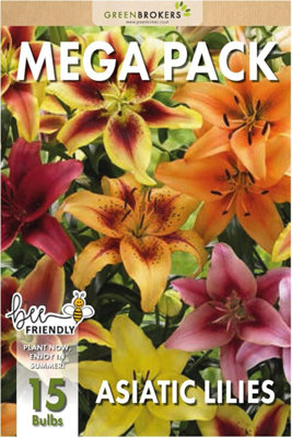 101 Mixed Summer Flowering Bulbs 101 Bulbs in 5 Varieties Bee ...