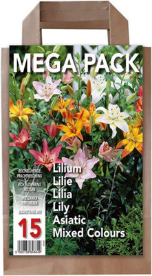 101 Mixed Summer Flowering Bulbs 101 Bulbs in 5 Varieties Bee ...