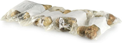 101 Mixed Summer Flowering Bulbs 101 Bulbs in 5 Varieties Bee ...