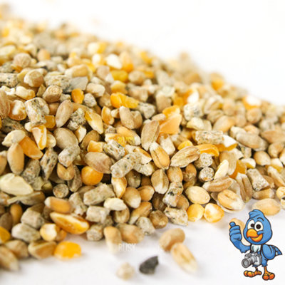 10kg BusyBeaks Chicken Corn Extra - Healthy Feed with Oyster Shell Grit ...