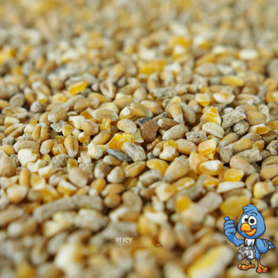 10kg BusyBeaks Chicken Corn Extra - Healthy Feed with Oyster Shell Grit ...