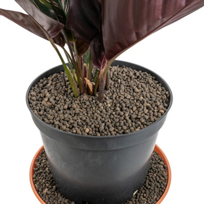 10l growing media-clay pebbles,1-4mm, pot plant topper,hydroponics ...