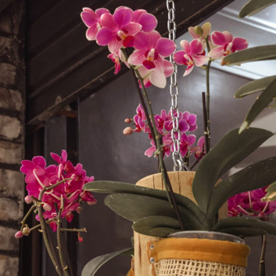 10L Orchid Compost Potting Mix by Laeto Your Signature Garden