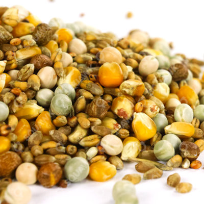 10L SQUAWK Four Seasons Pigeon Corn - Deluxe Protein Rich Wild Bird ...