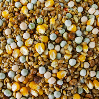 10L SQUAWK Four Seasons Pigeon Corn - Deluxe Protein Rich Wild Bird ...