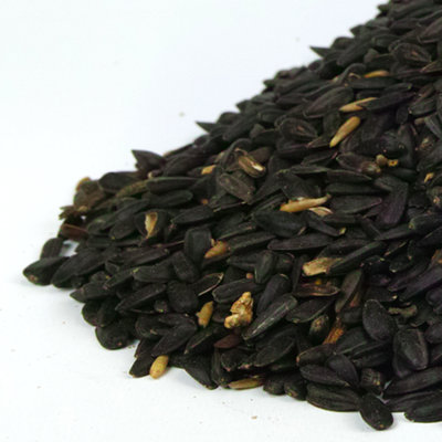 12.5kg SQUAWK Black Oil Sunflower Seeds - Wild Garden Bird Food Oil ...