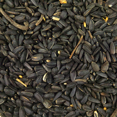 12.5kg SQUAWK Black Oil Sunflower Seeds - Wild Garden Bird Food Oil ...