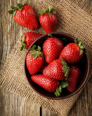 12 x Strawberry Symphony Bare Roots - Grow Your Own Strawberries