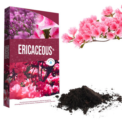 120 Litres (2 Bags) Ericaceous Special Formula Soil For Growing ...