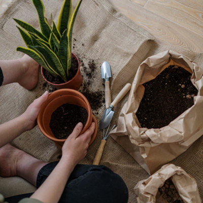 120L Houseplant Compost by Laeto Your Signature Garden