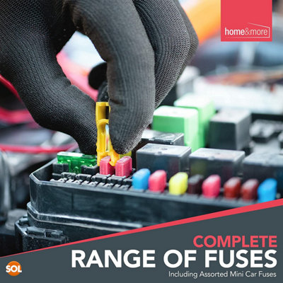 120pk Mini Car Fuses Assorted Sizes, Fuse Extractor & Storage Box - 2A ...
