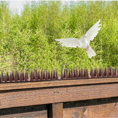 12pcs Plastic Bird Spikes Squirrel Raccoon Pigeon Cat Fox Animal ...