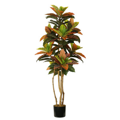 150cm Artificial Codiaeum Indoor Artificial Potted Plants | DIY at B&Q