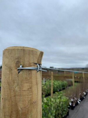 150m Roll of 3.15mm Diameter Galvanised Mild Steel Line or Straining ...