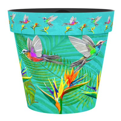 15cm Indoor Outdoor Zest Pot - Hummingbird