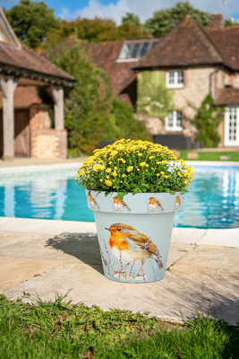 15cm Outdoor Indoor Zest Pot Robin
