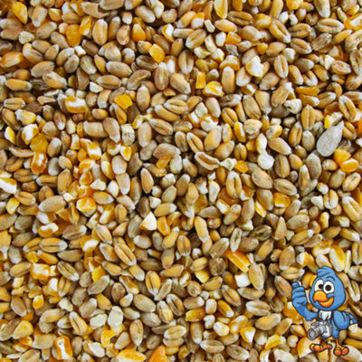 15kg BusyBeaks Mixed Poultry Corn - Premium Grade Food Feed For Chicken ...