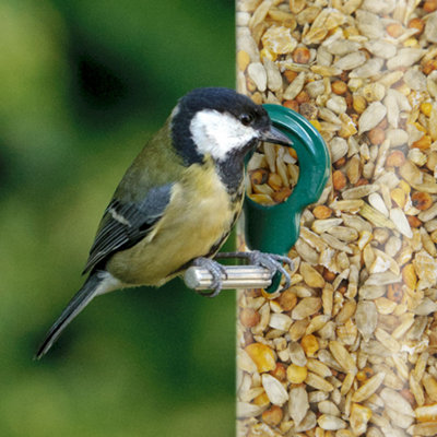 15kg SQUAWK No Mess Seed Mix - Husk-Free Premium Grade Wild Bird Food ...