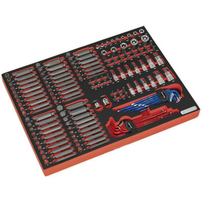 177-Piece Premium Bit and Socket Set with Secure Tool Tray for ...