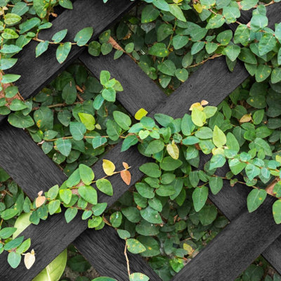 180x60cm Expanding Grey Wooden Trellis Climbing Plants Fence Panel ...