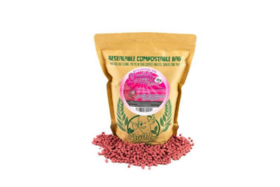 1Kg High-Energy Berry Chubby Suet Pellets Wild Bird Food