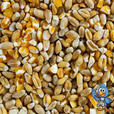 1L BusyBeaks Mixed Poultry Corn - Premium Grade Food Feed For Chicken ...