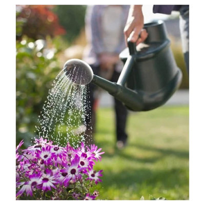 1x Strong 6 Litre Green Indoor & Outdoor Garden Watering Can Complete ...