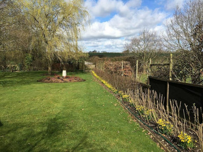 2-3ft Hedge Plant Native Mix Best Value Bare Root Tree Saplings - Pack ...