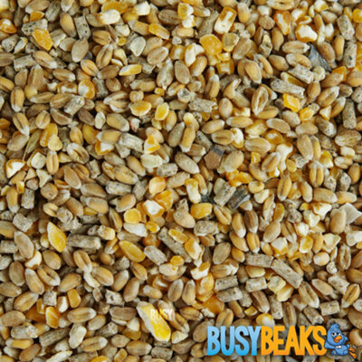 2.5kg BusyBeaks Chicken Corn Extra - Healthy Feed with Oyster Shell ...