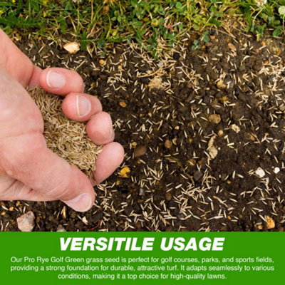 2.5KG GROUNDMASTER Pro Golf Green Grass Mix Hard Wearing Dense Fairway ...