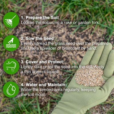 2.5KG GROUNDMASTER Pro Golf Green Grass Mix Hard Wearing Dense Fairway ...