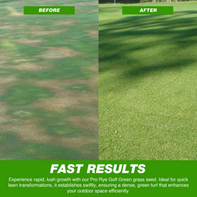 2.5KG GROUNDMASTER Pro Golf Green Grass Mix Hard Wearing Dense Fairway ...