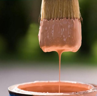 2.5L, Craftsman Range Cellulose Thinners, Xylene Paint Thinner, High ...