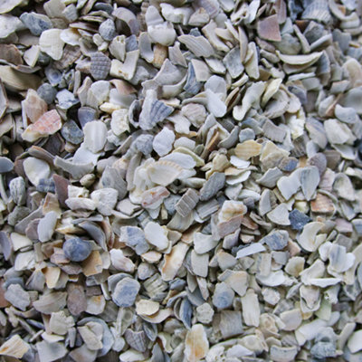 2.5L SQUAWK Hen Sized Oyster Shell - Chicken Hen Poultry Nutritious ...