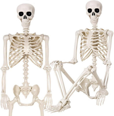 2 Pack 2.95 ft Halloween Skeleton - 90cm Life Size Human Skeleton with ...