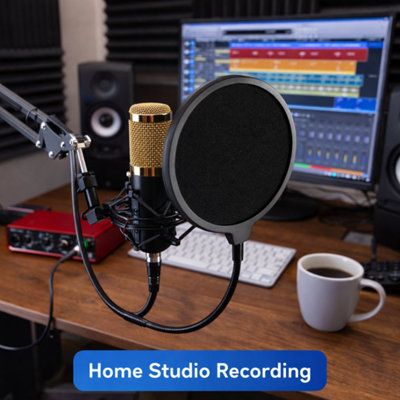 2 Pack Professional microphone pop filter dual layer mic shield for all ...