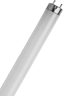2 x F18w - T8 Triphosphor Fluorescent Tube 2ft 18W - Colour Daylight - 860