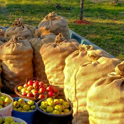 2 x Natural Hessian Jute Sacks, X Large Hessian Storage Bags, 50 x 80 ...