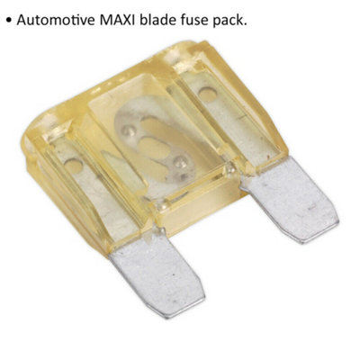 20 Amp MAXI Blade Fuse Pack - 10 Automotive Circuit Fuses for Vehicles
