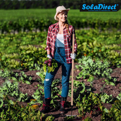 20 cm Solid Steel Swan Neck Hoe Head Garden Tool with Wooden Handle