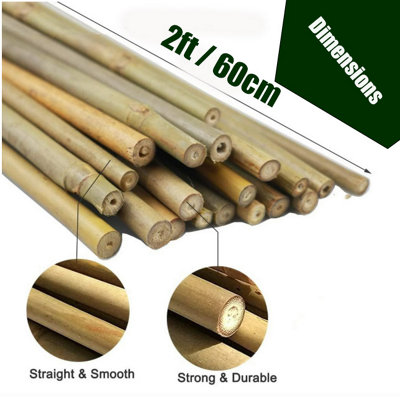 20 x Natural Bamboo Plant Support Sticks 60cm / 2FT Plant Stakes Split ...