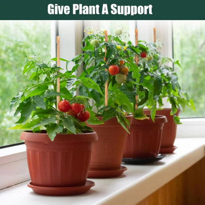 20 x Natural Bamboo Plant Support Sticks 90cm / 3FT Plant Stakes Split ...