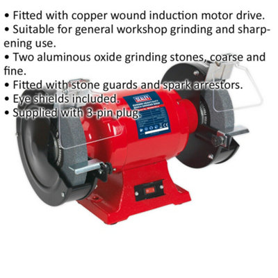 200mm Heavy Duty Bench Grinder with 600W Induction Motor and Dual ...