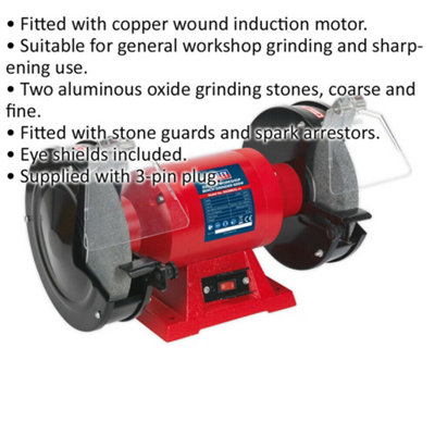 200mm Heavy-Duty Workshop Bench Grinder with 600W Copper Wound Motor ...